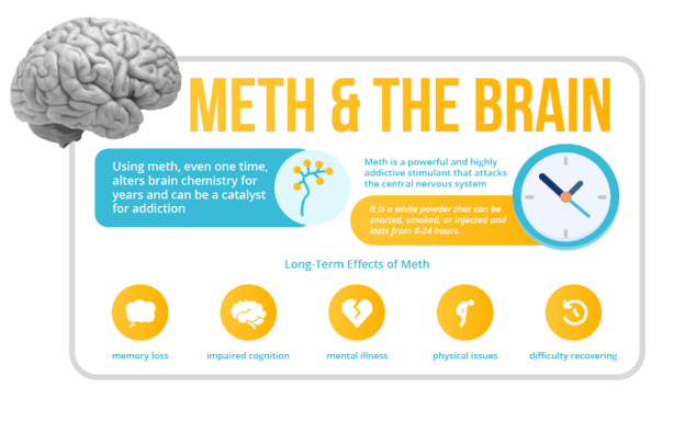 What Does Meth Do to Your Brain - Free by the Sea