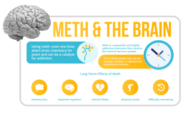 What Does Meth Do to Your Brain - Free by the Sea